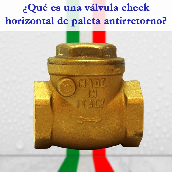 ¿Qué es una válvula check horizontal de paleta antirretorno Italvalv ...