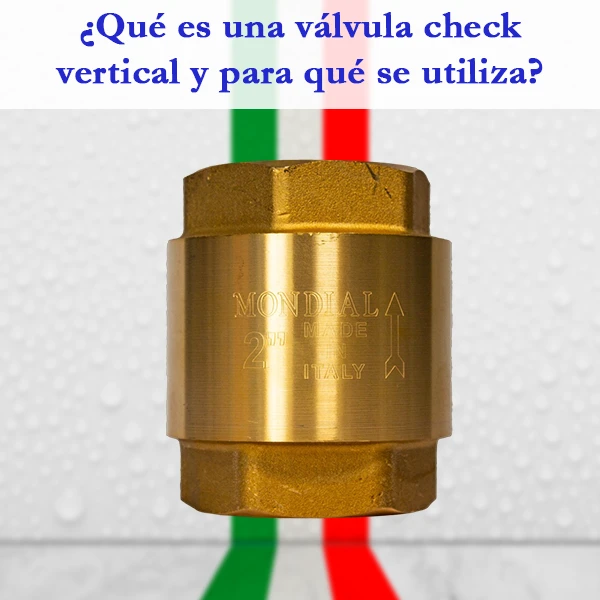 ¿Qué es una válvula check vertical y para qué se utiliza? - Venta ...